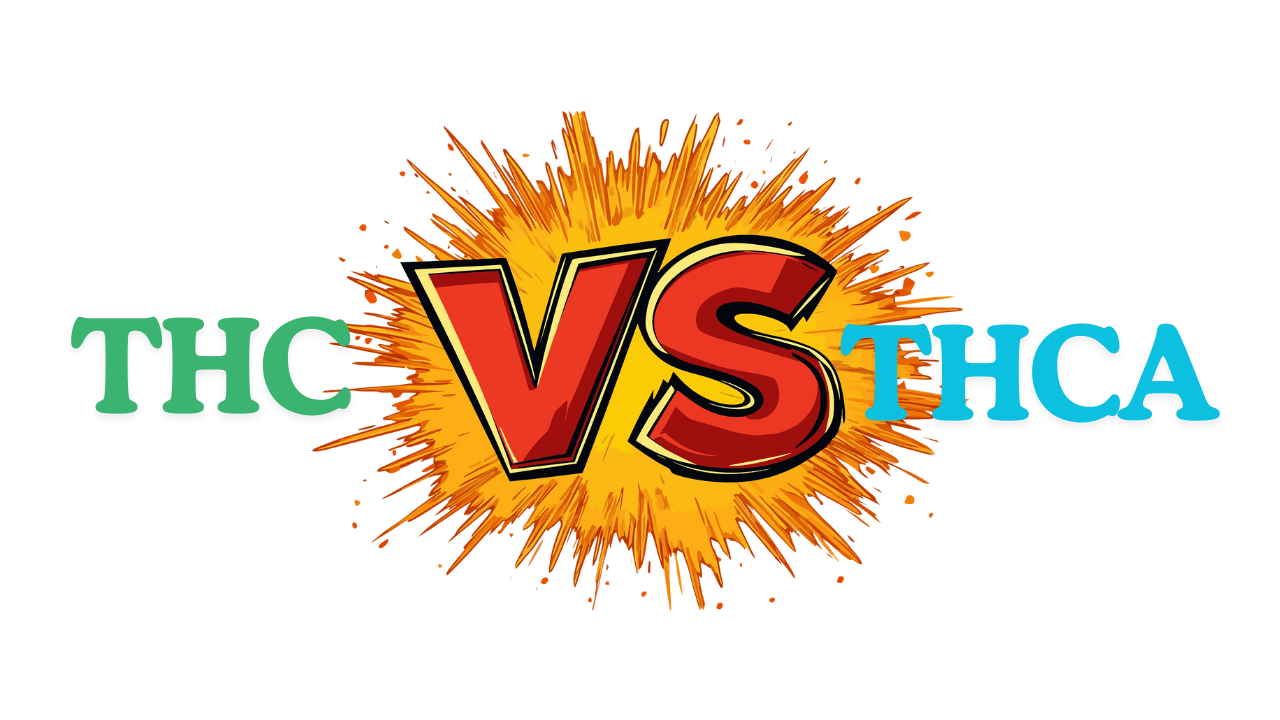 THC vs. THCA: Understanding the Critical Differences – Tree Spirit Wellness