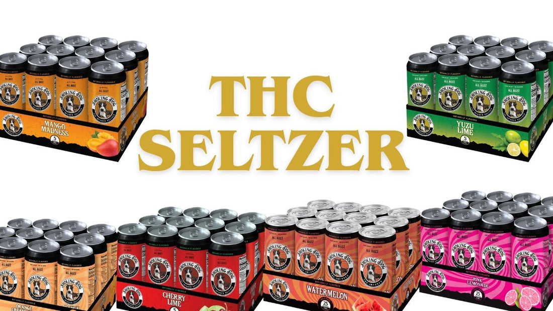 THC Seltzer Guide: Effects, Benefits, and Top Brands – Tree Spirit Wellness